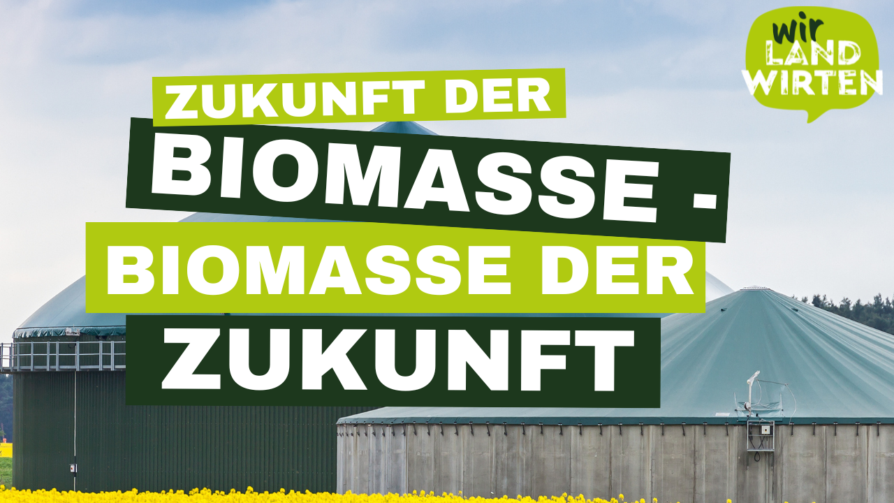 Video Online: Zukunft der Biomasse – Biomasse der Zukunft - BLHV
