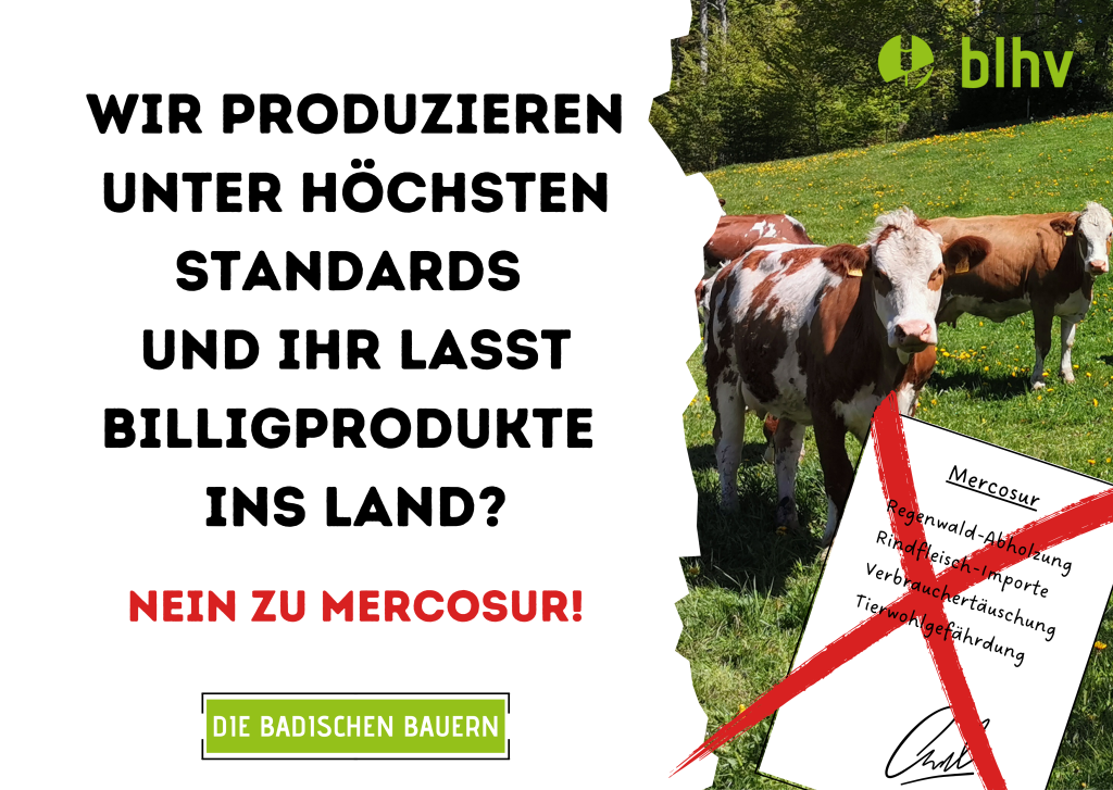 Protest gegen das Mercosur-Abkommen: Jetzt aktiv werden! - BLHV